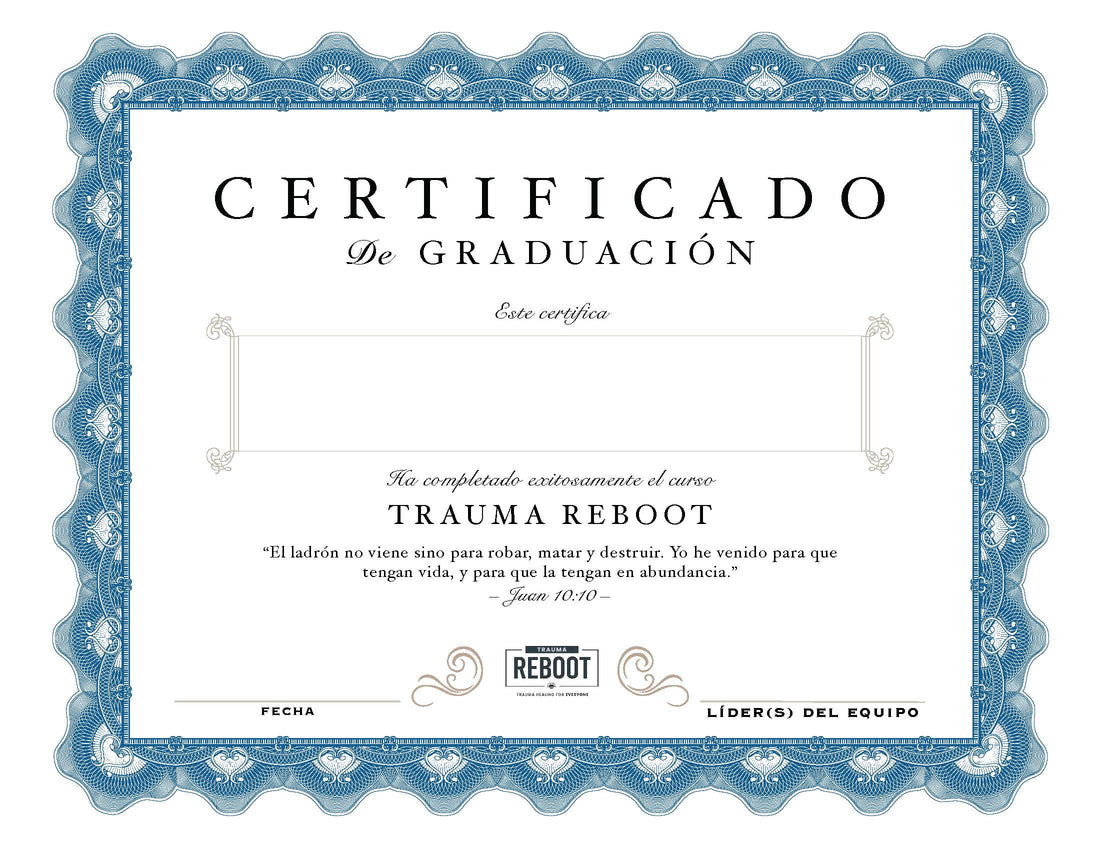 Graduate Certificate – REBOOT Recovery